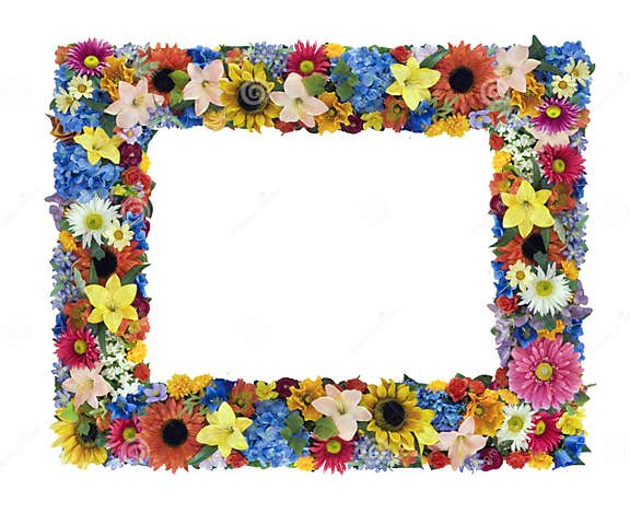 Flower frame stock photo. Image of gerbera, design, bluebell - 7740542
