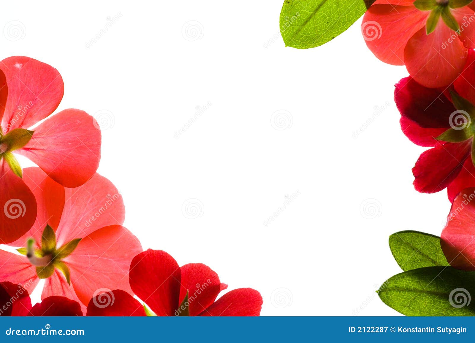 Flower Frame Border stock image. Image of corner, background - 2122287
