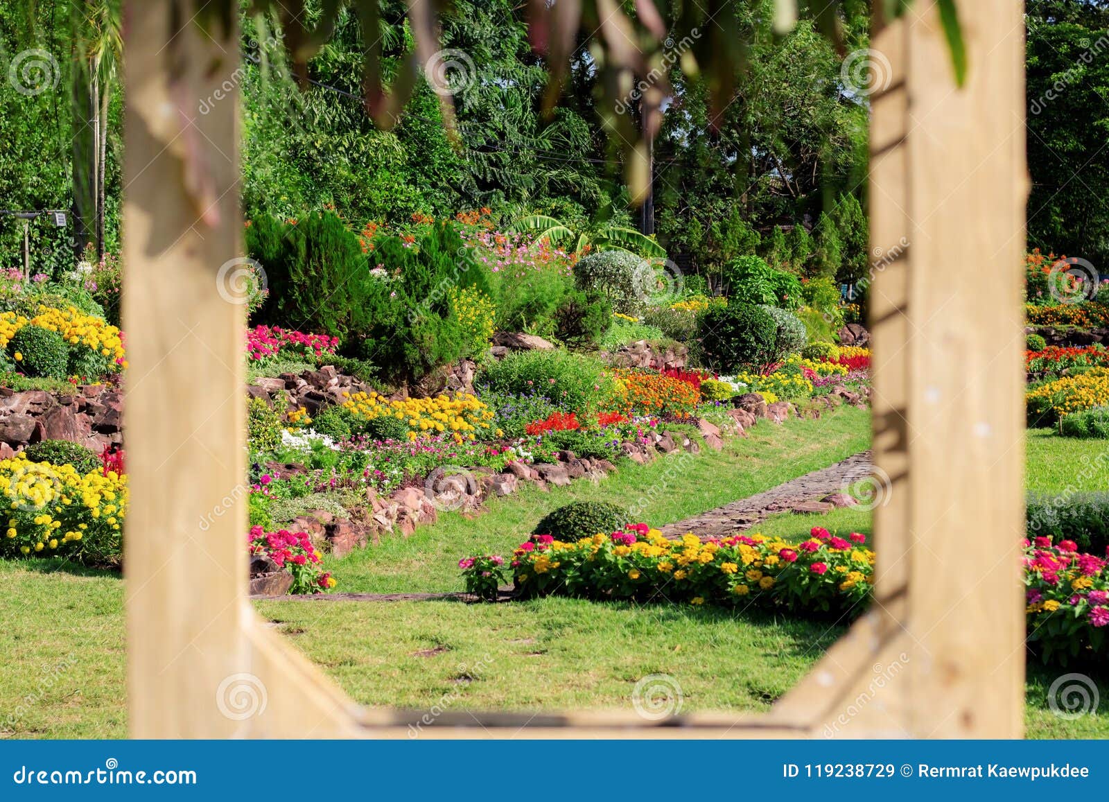 Flower and Frame in Garden. Stock Image - Image of garden, nature ...