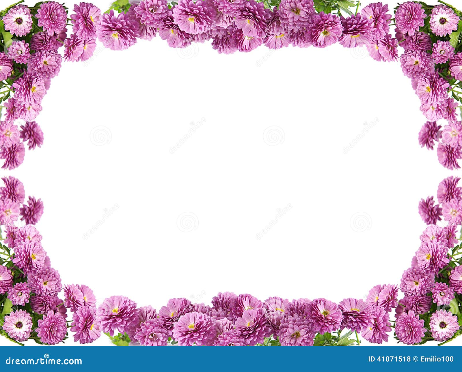 Flower frame stock photo. Image of pink, frame, flora - 41071518