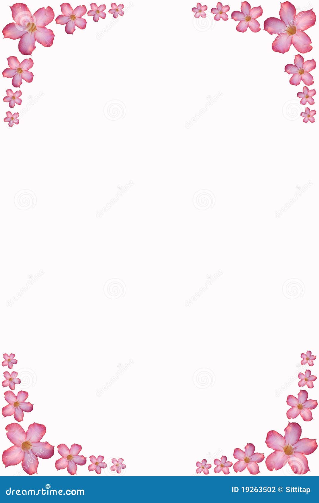 Flower Frame With Space For Text Stock Photo - Image: 19263502