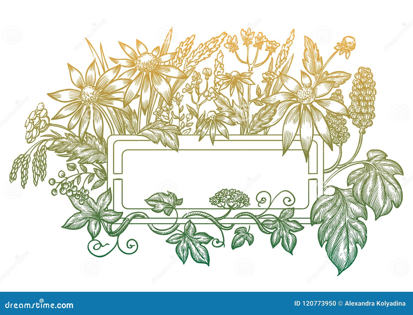 Flower Frame. Vector Sketch Stock Vector - Illustration of blossom ...