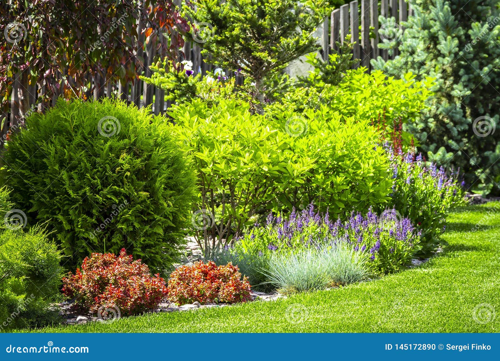 A Flower Garden in the Backyard Stock Photo - Image of back, bloom ...