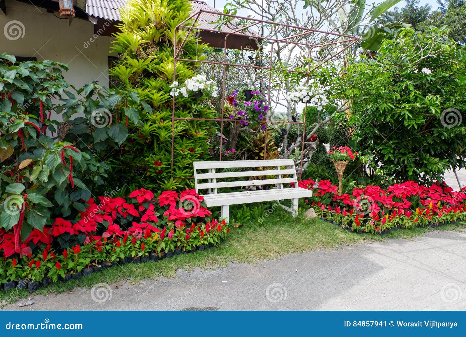 Flower garden bench stock image. Image of bloom, bright - 84857941