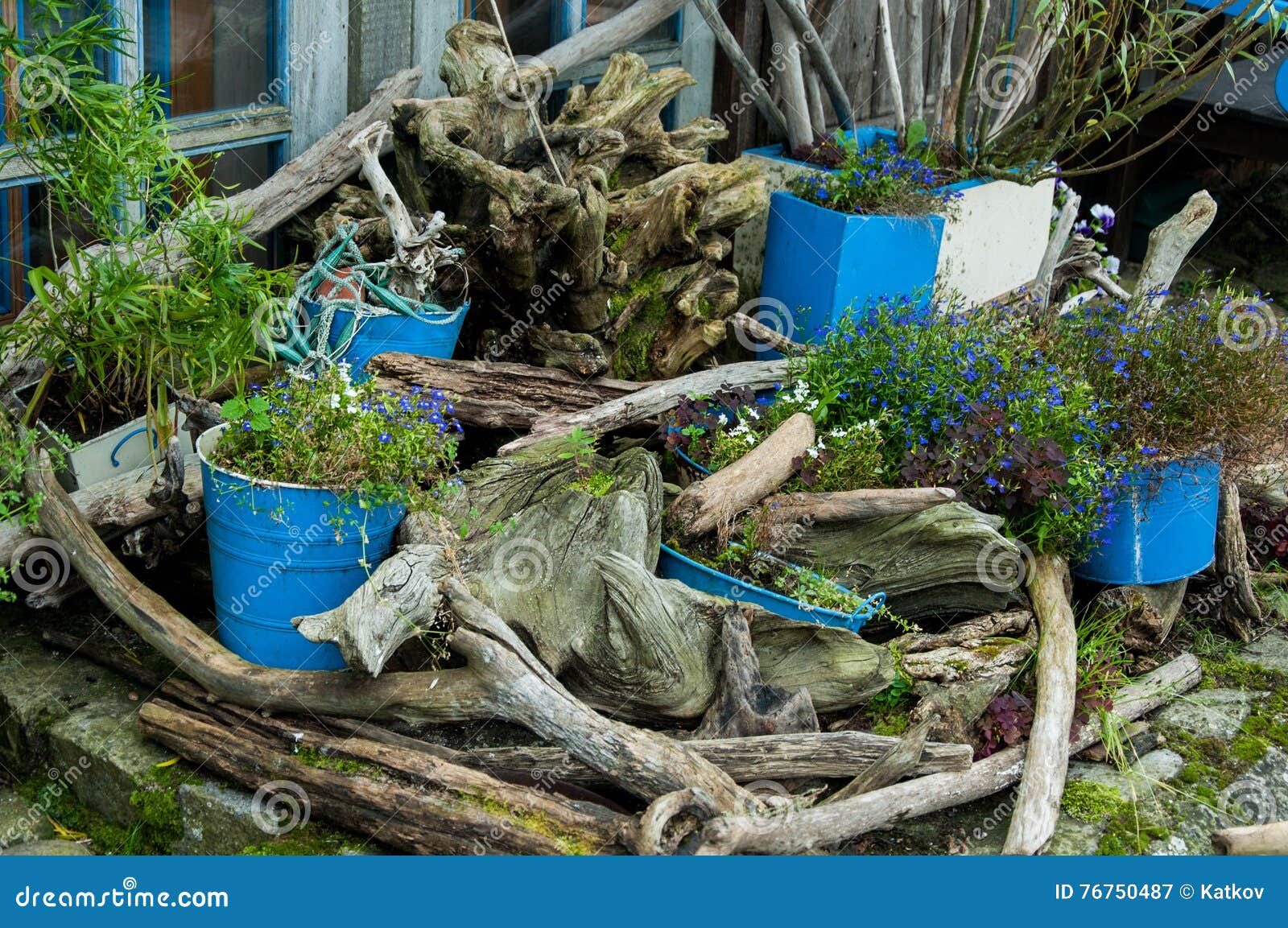 Flower Garden with Decor Roots Stock Image - Image of botanical, bark ...