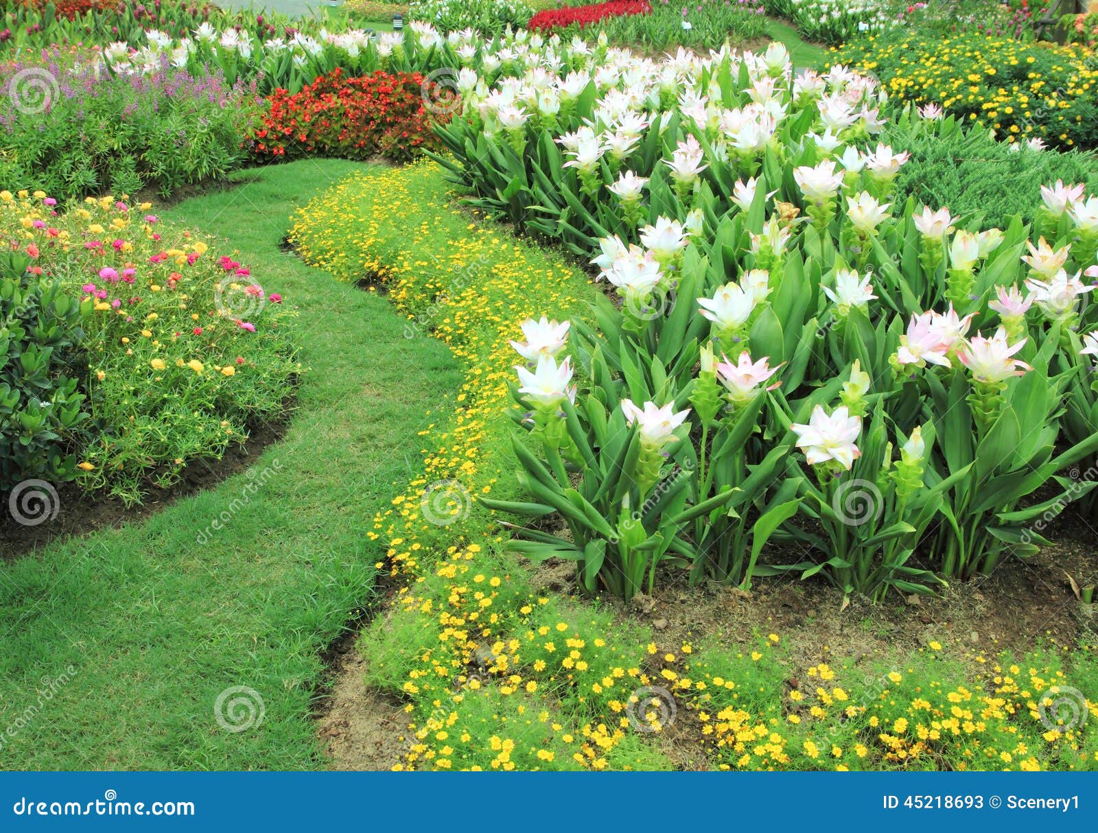 Natural Flower Garden Photos