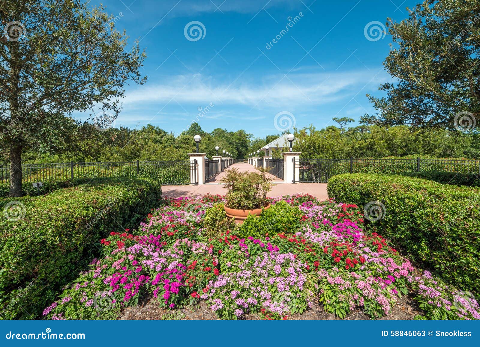 Flower Garden in the park stock image. Image of plants - 58846063