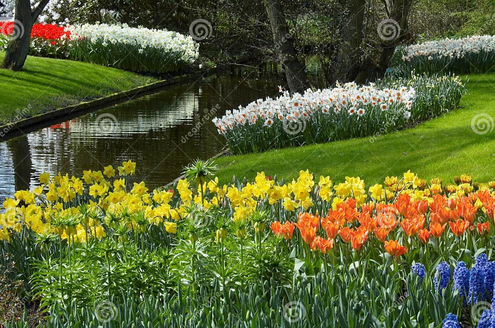 Flower garden in spring stock image. Image of natural - 2197171