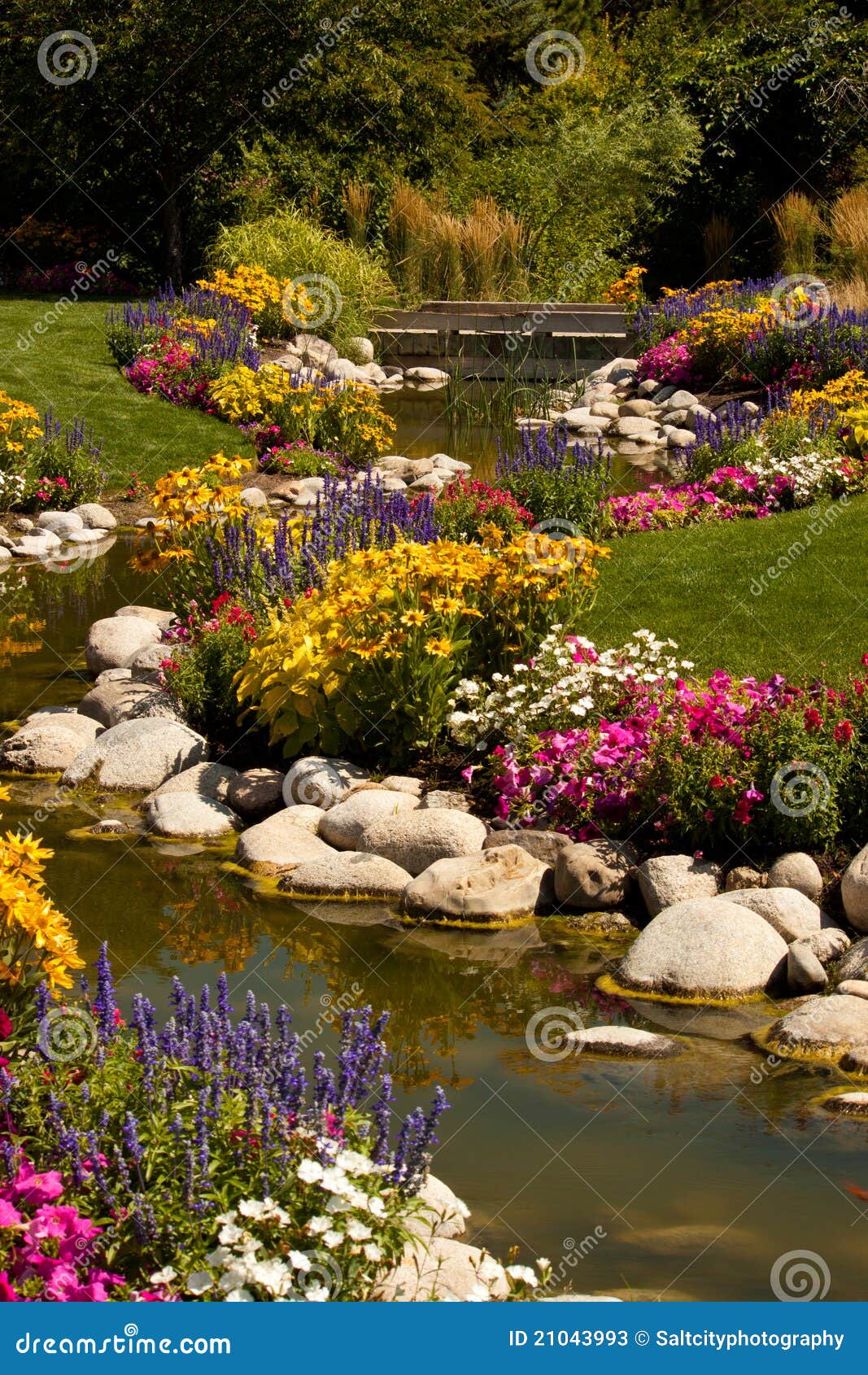 Flower Garden Stream stock image. Image of water, fish - 21043993