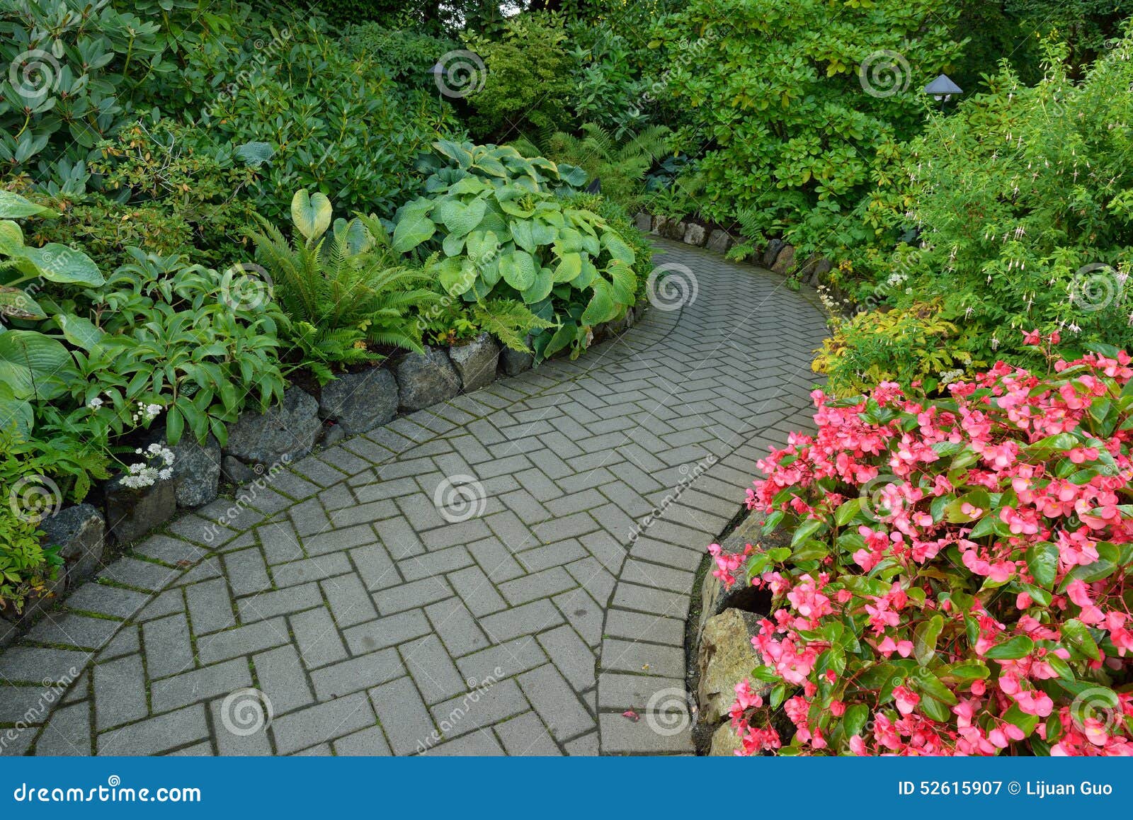 Flower Garden walkway stock image. Image of walkway, begonia - 52615907