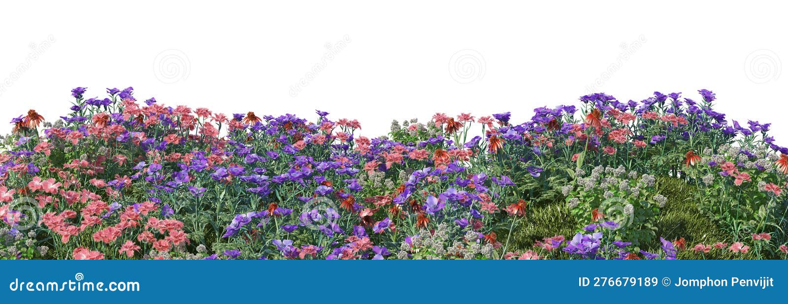Flower Garden on White Background Stock Illustration - Illustration of ...