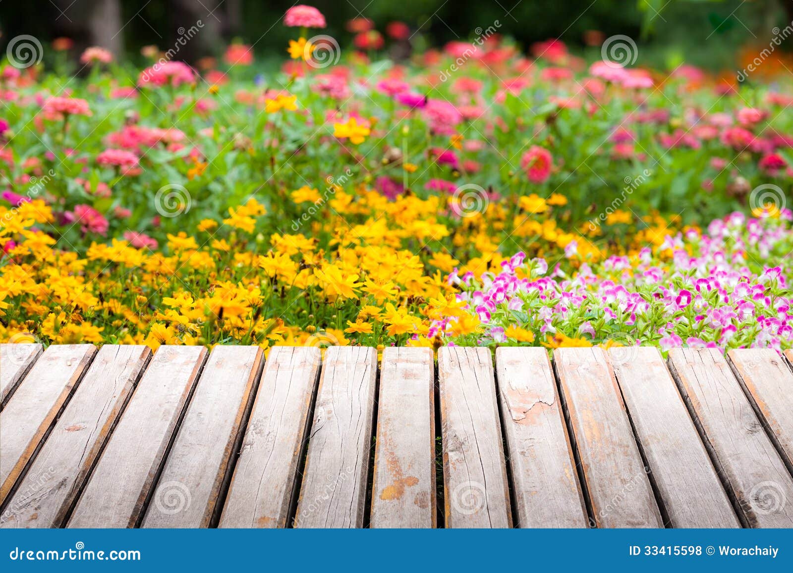 Flower garden stock photo. Image of defocused, pattern - 33415598