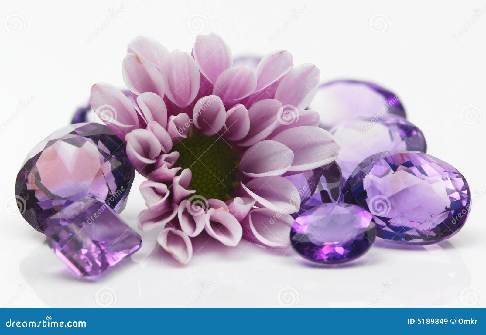 Flower with gem stones stock image. Image of designer - 5189849