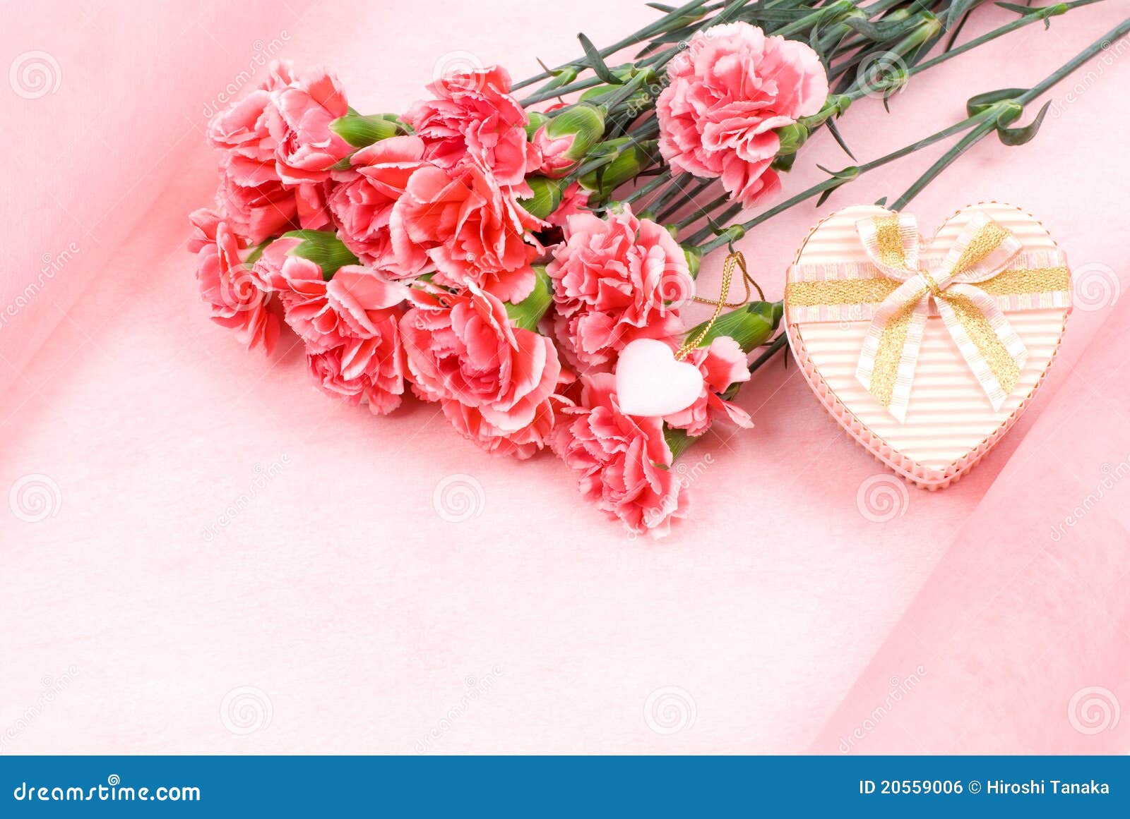 Flower and gift stock photo. Image of arrangement, festive - 20559006