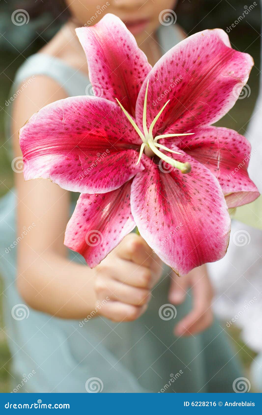 Flower Girl Showing Bouquet Stock Photo - Image of girl, closeup: 6228216