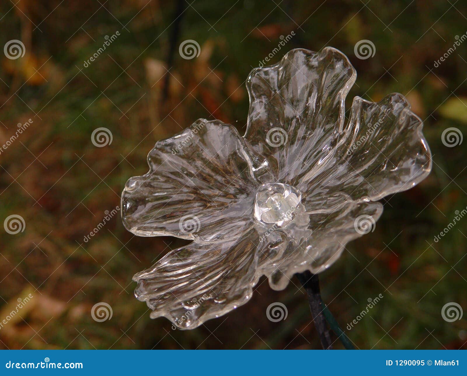 Flower of glass stock image. Image of light, artistic - 1290095