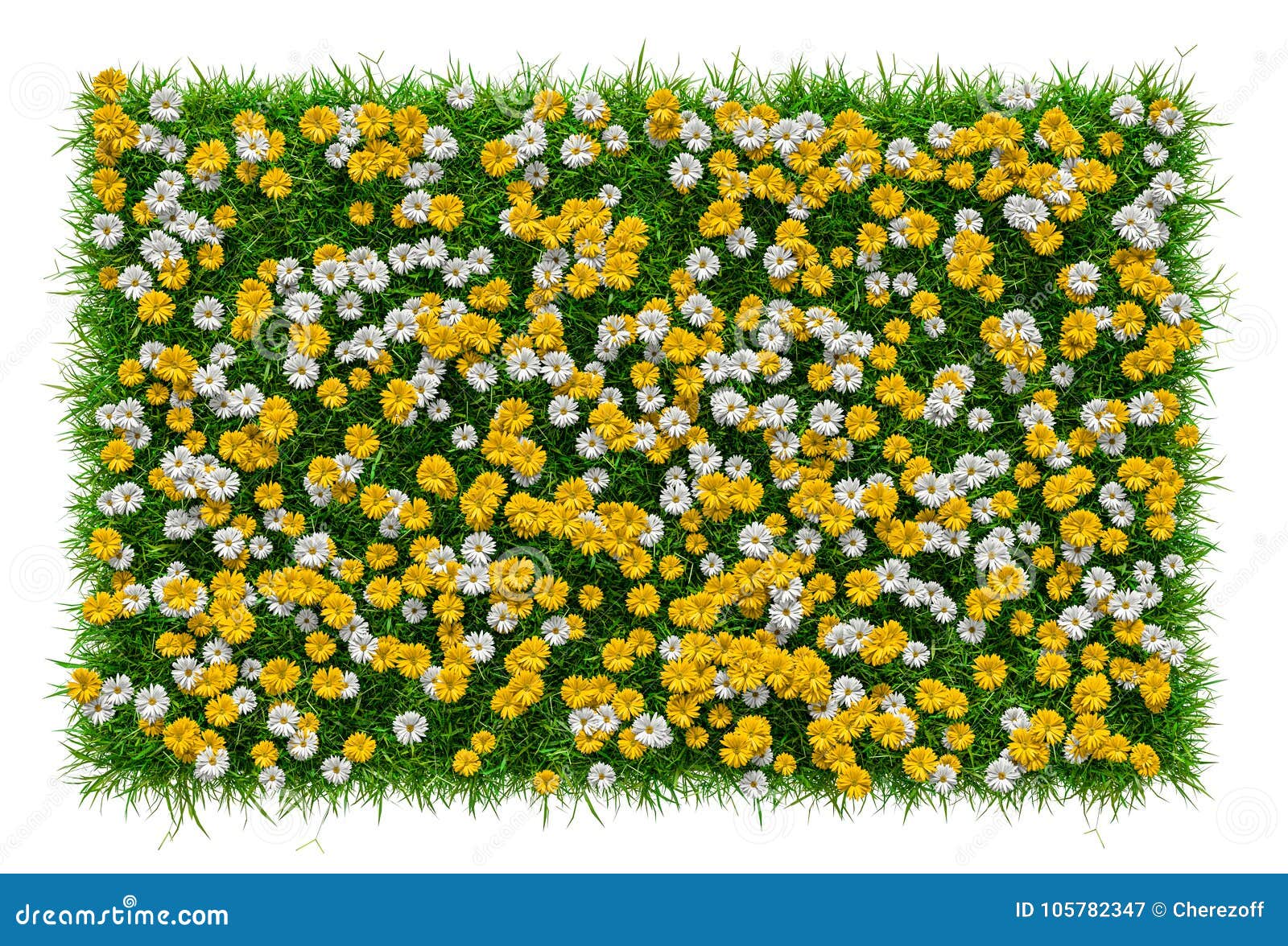 Flower and Grass on a White Background Stock Illustration ...
