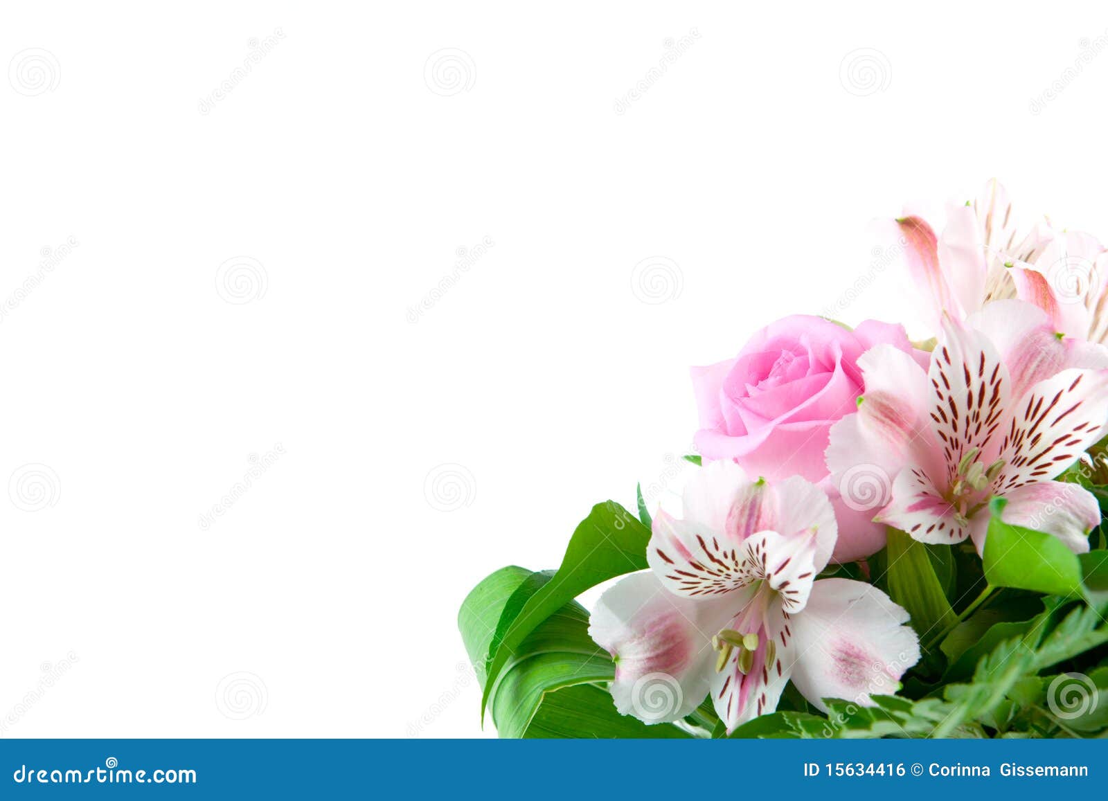 Flower greetings stock photo. Image of colorful, tender - 15634416