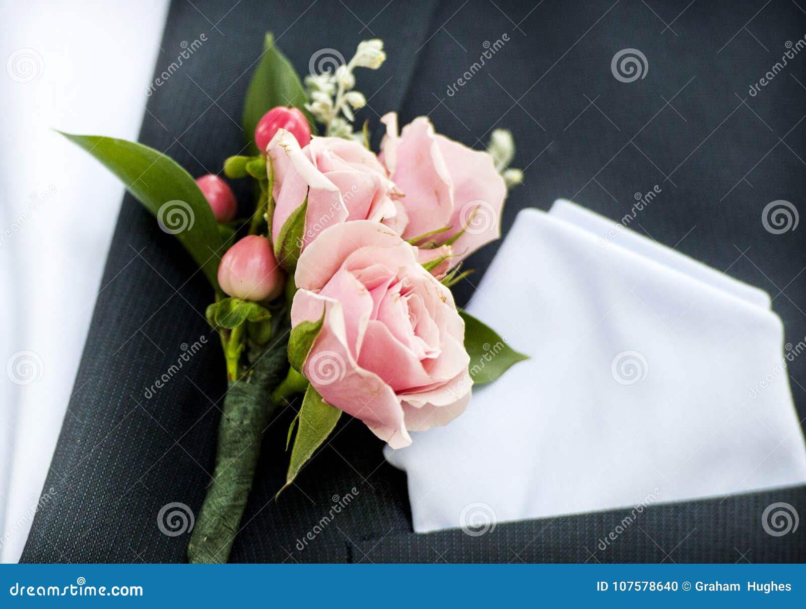 A flower on a grooms lapel stock photo. Image of grooms - 107578640