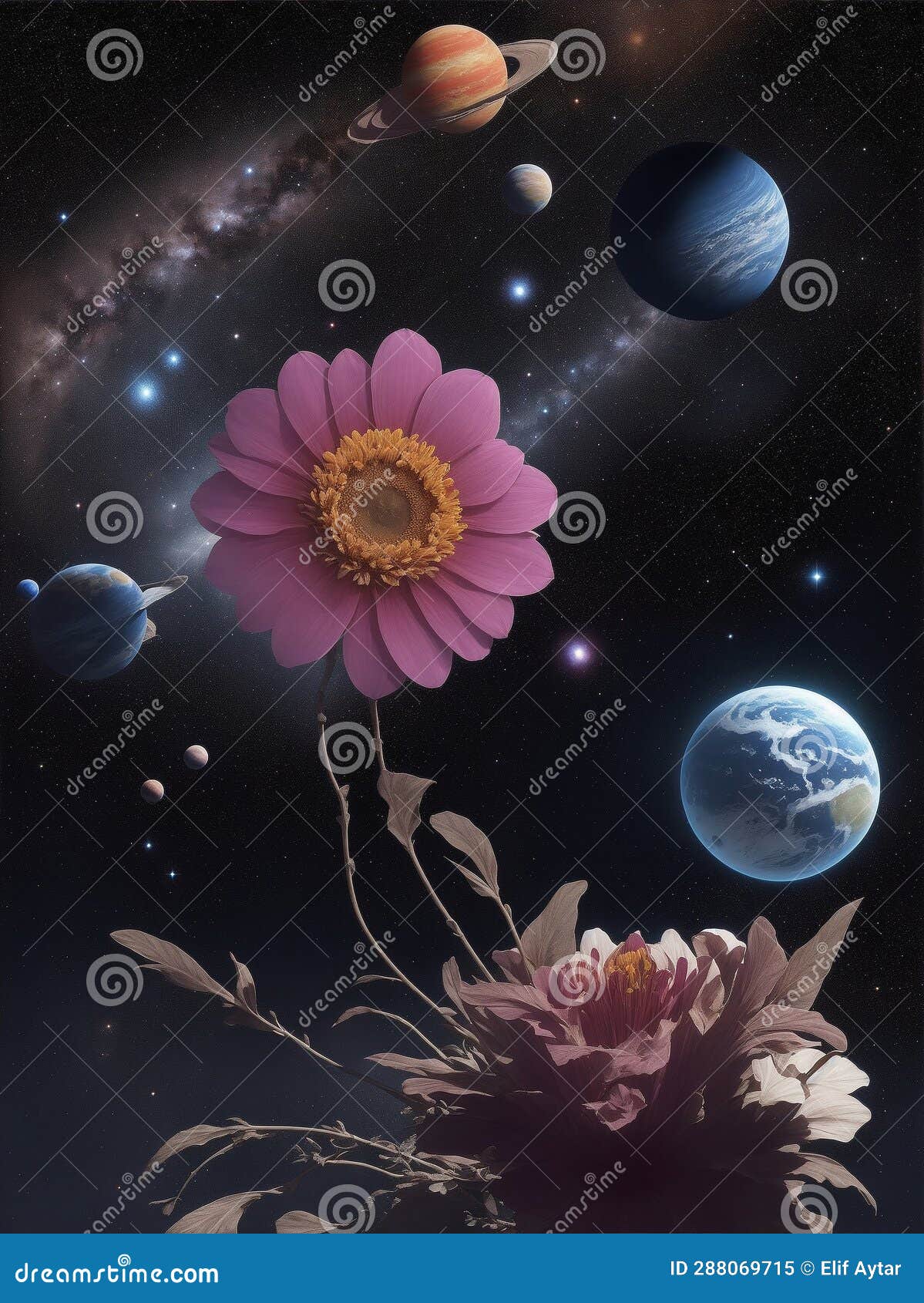 A Flower Growing in Outer Space with Planets, Galaxies and Spaceships ...
