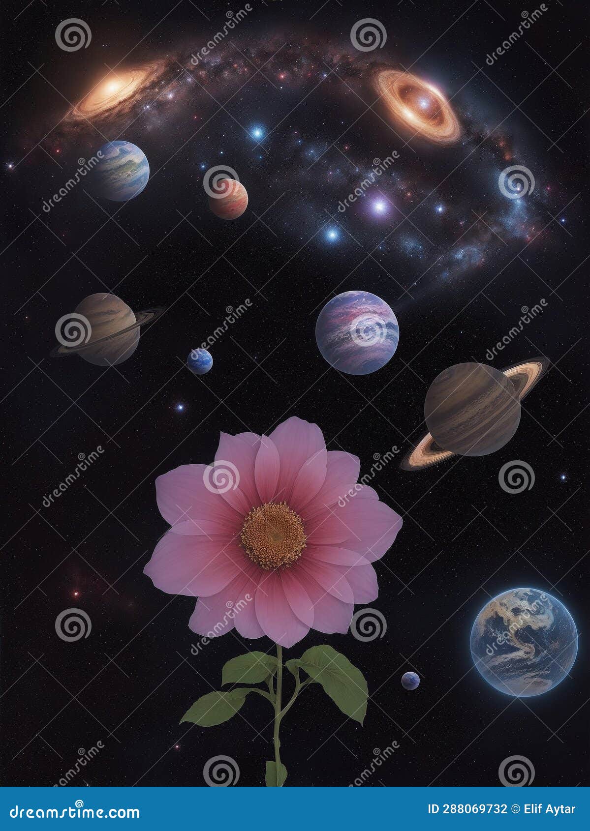A Flower Growing in Outer Space with Planets, Galaxies and Spaceships ...