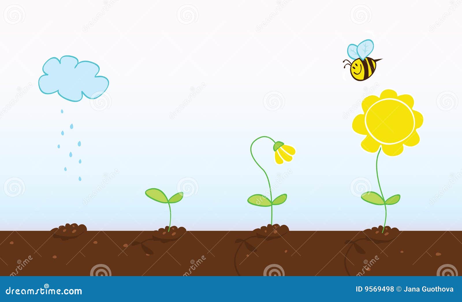 Flower growing stages stock vector. Illustration of earth - 9569498