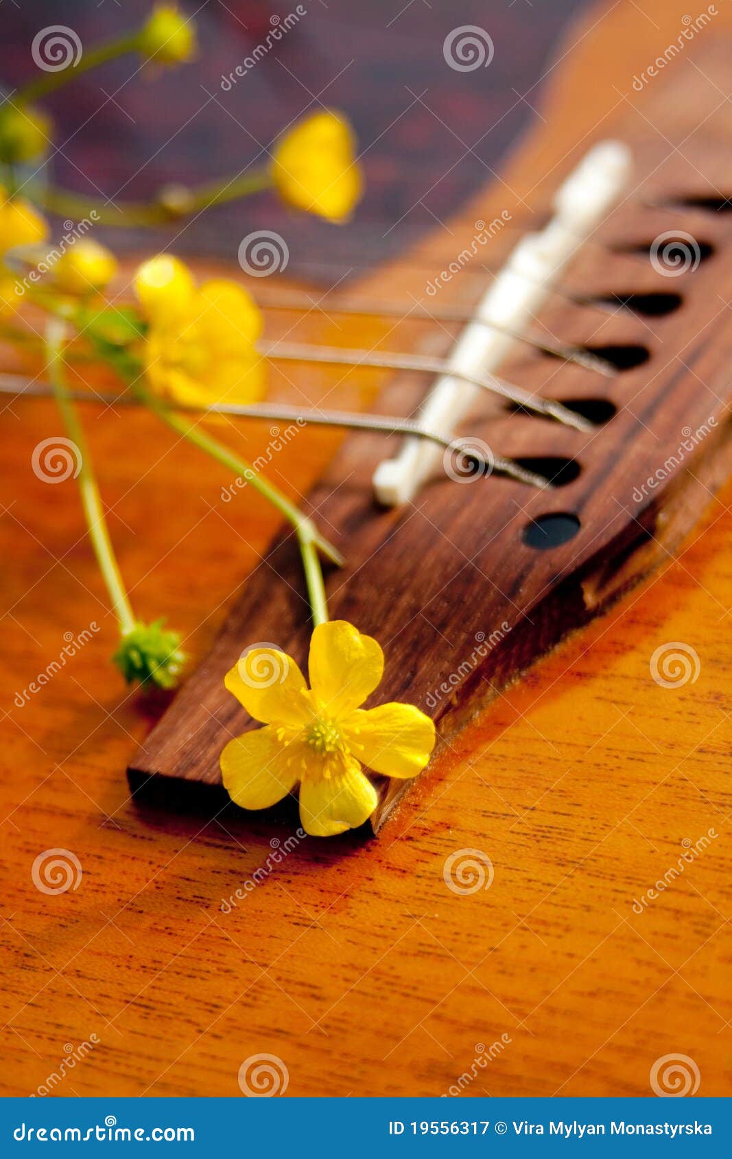Flower Guitar stock image. Image of decor, flower, romantic - 19556317