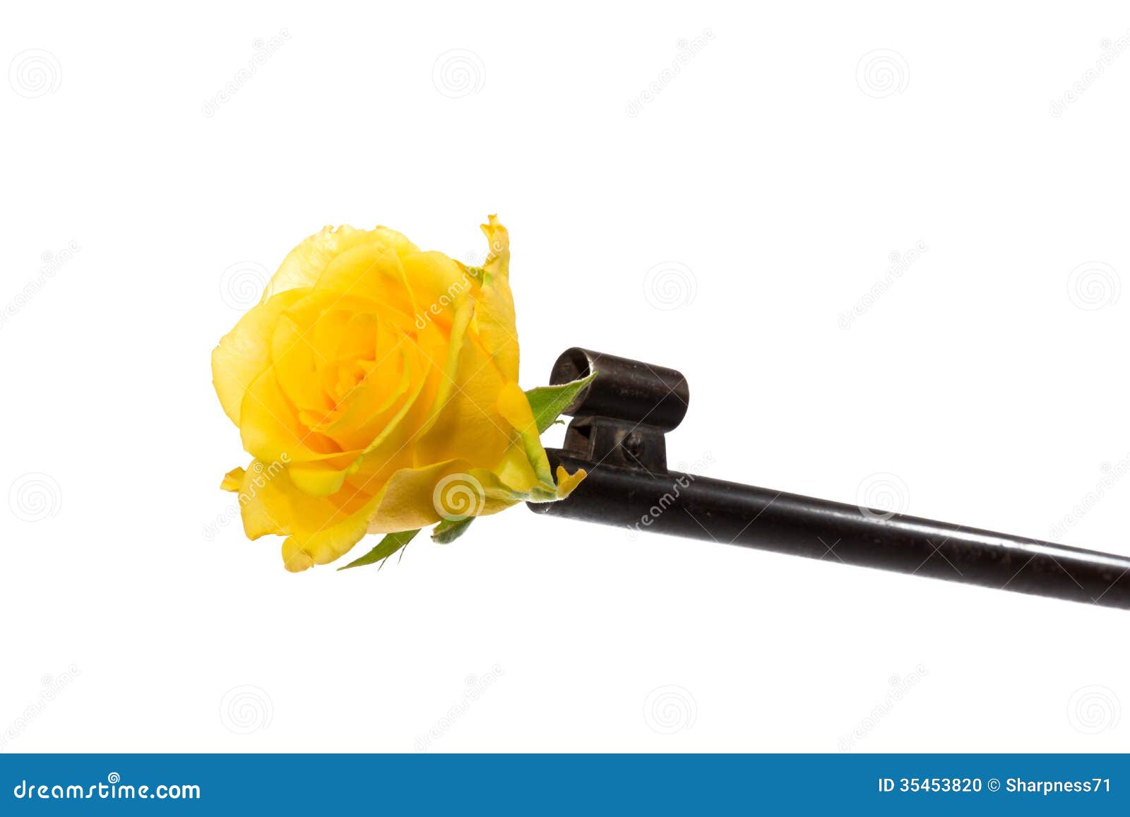 Flower gun stock photo. Image of muzzle, peace, arming - 35453820