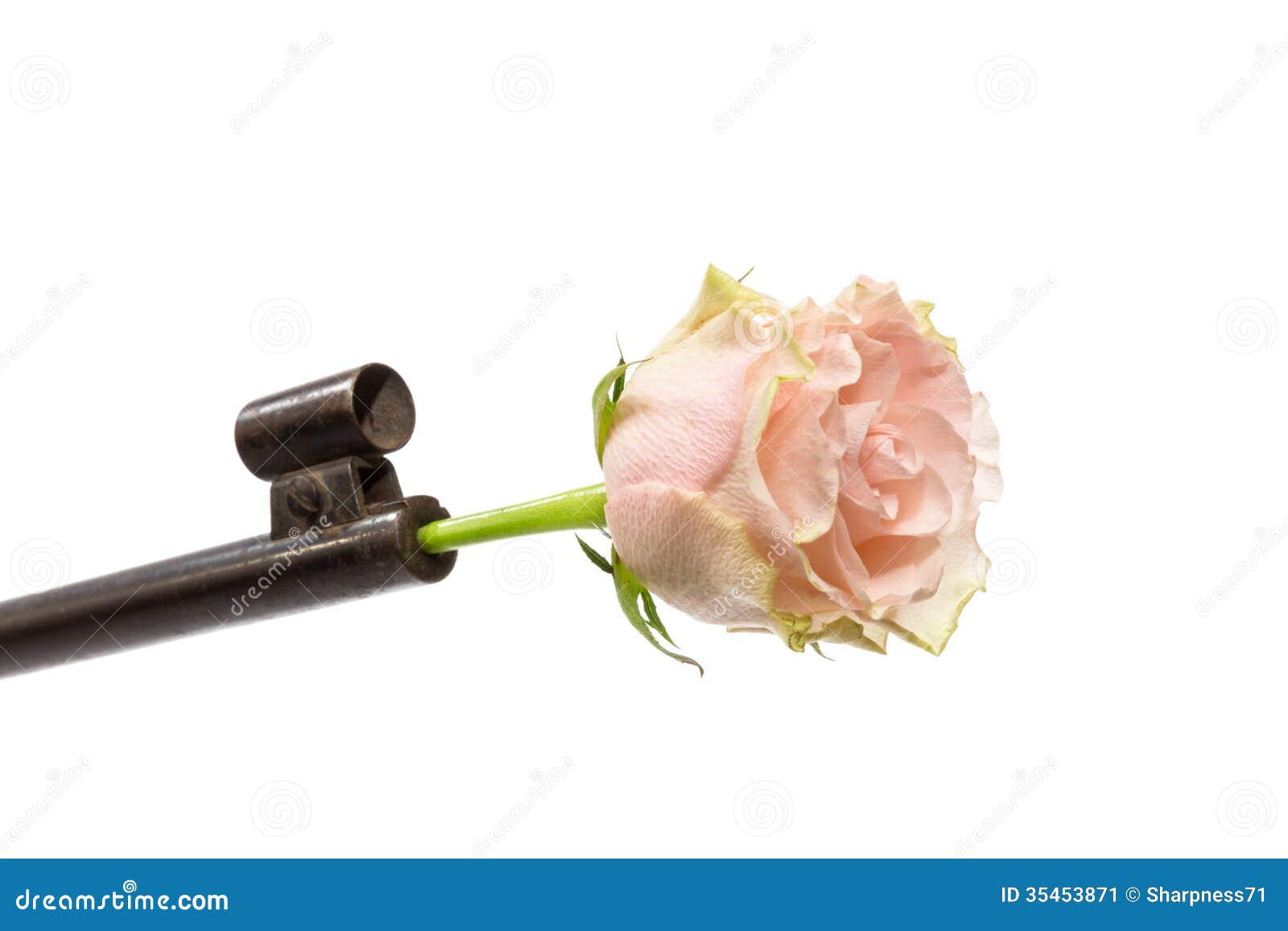 Flower gun 4 stock image. Image of barrel, muzzle, military - 35453871