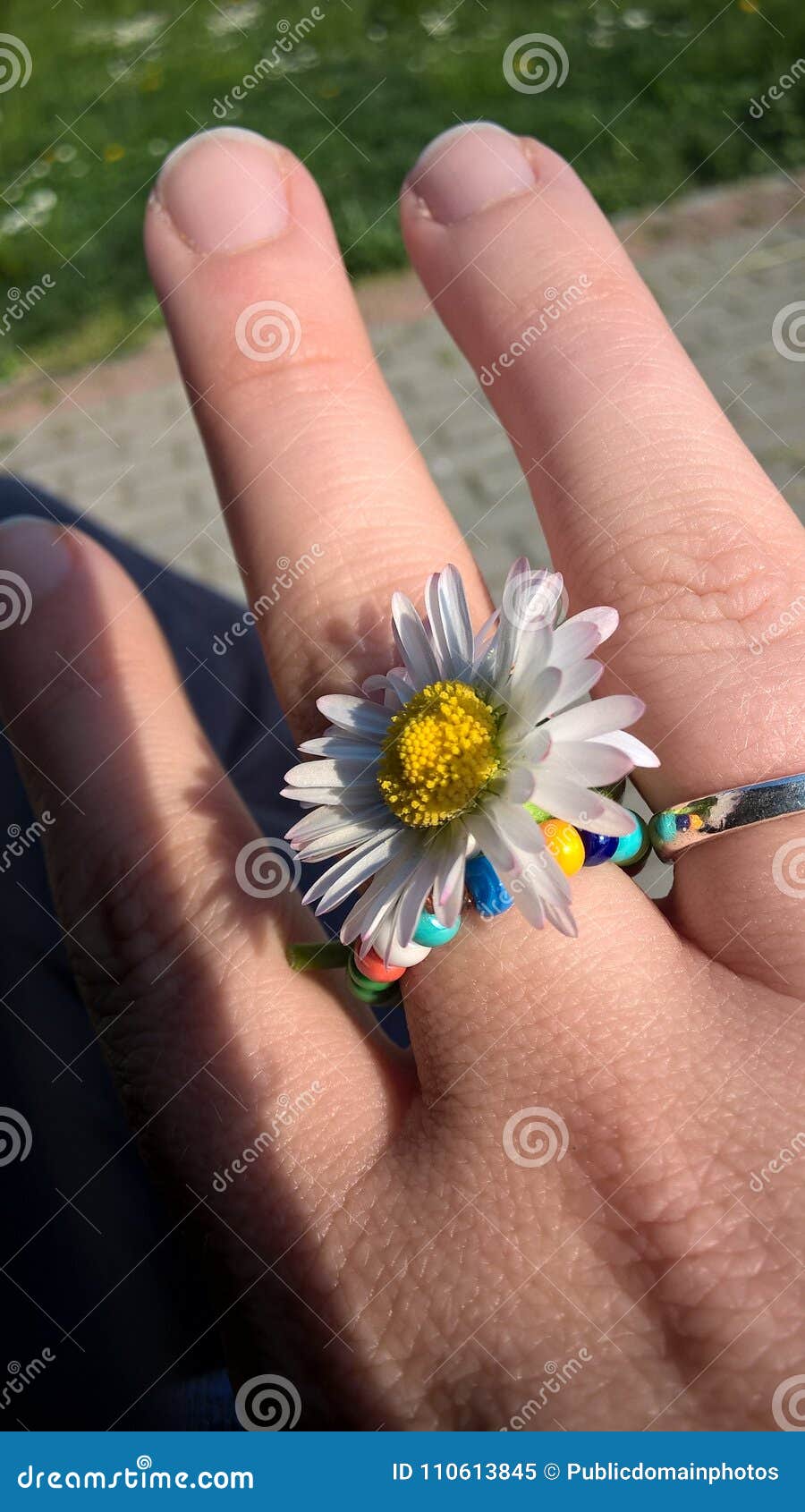 Flower, Hand, Flora, Finger Picture. Image: 110613845