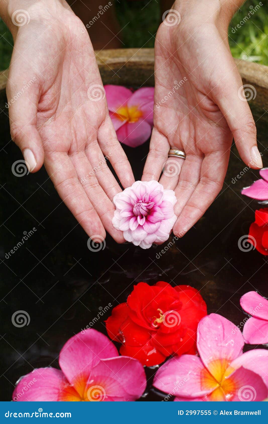 Flower Hand Reflection stock image. Image of buddhidm - 2997555