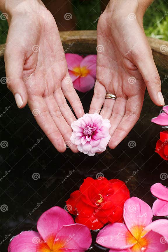 Flower Hand Reflection stock image. Image of buddhidm - 2997555