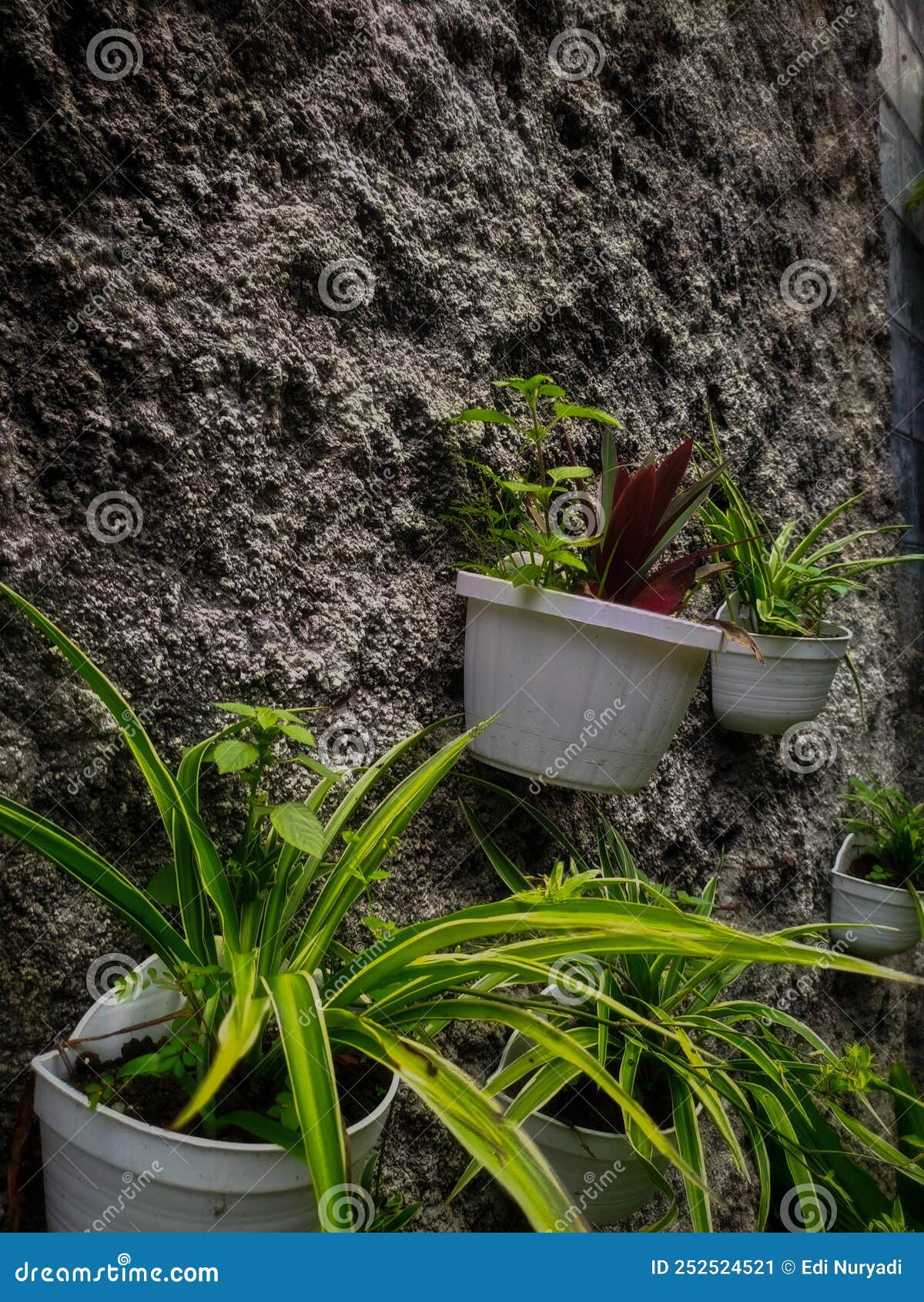 Flower in Hanging Pot Side View Stock Image - Image of hanging, leaf ...