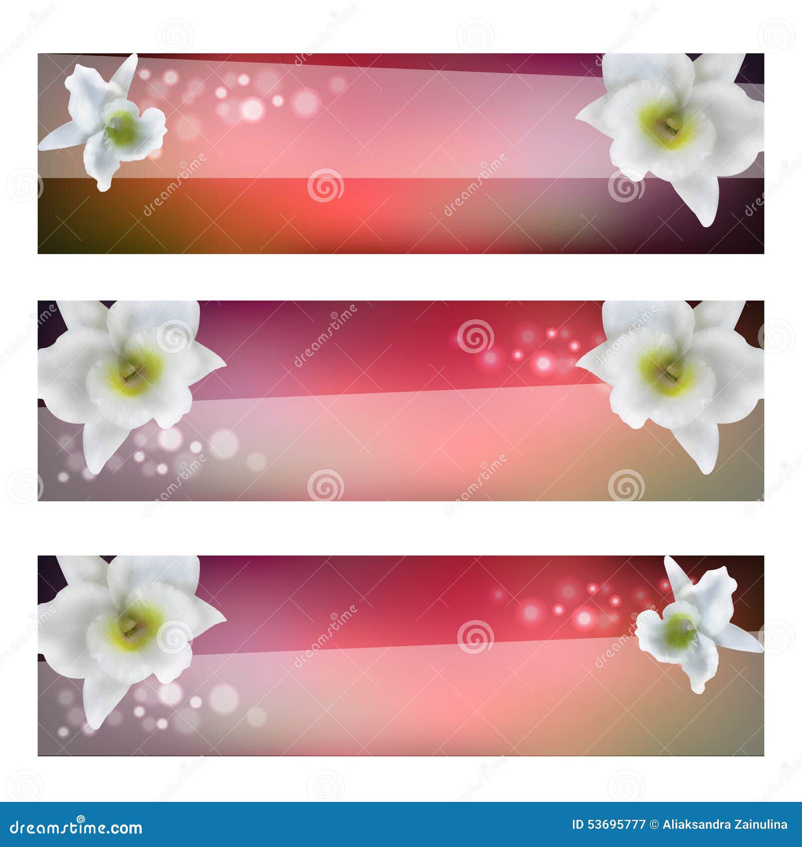 Flower Header with Blossom Orchid Stock Vector - Illustration of ...