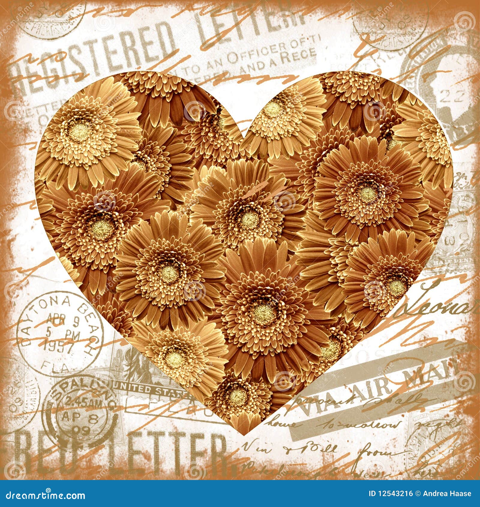 Flower heart stock illustration. Illustration of gerbera - 12543216