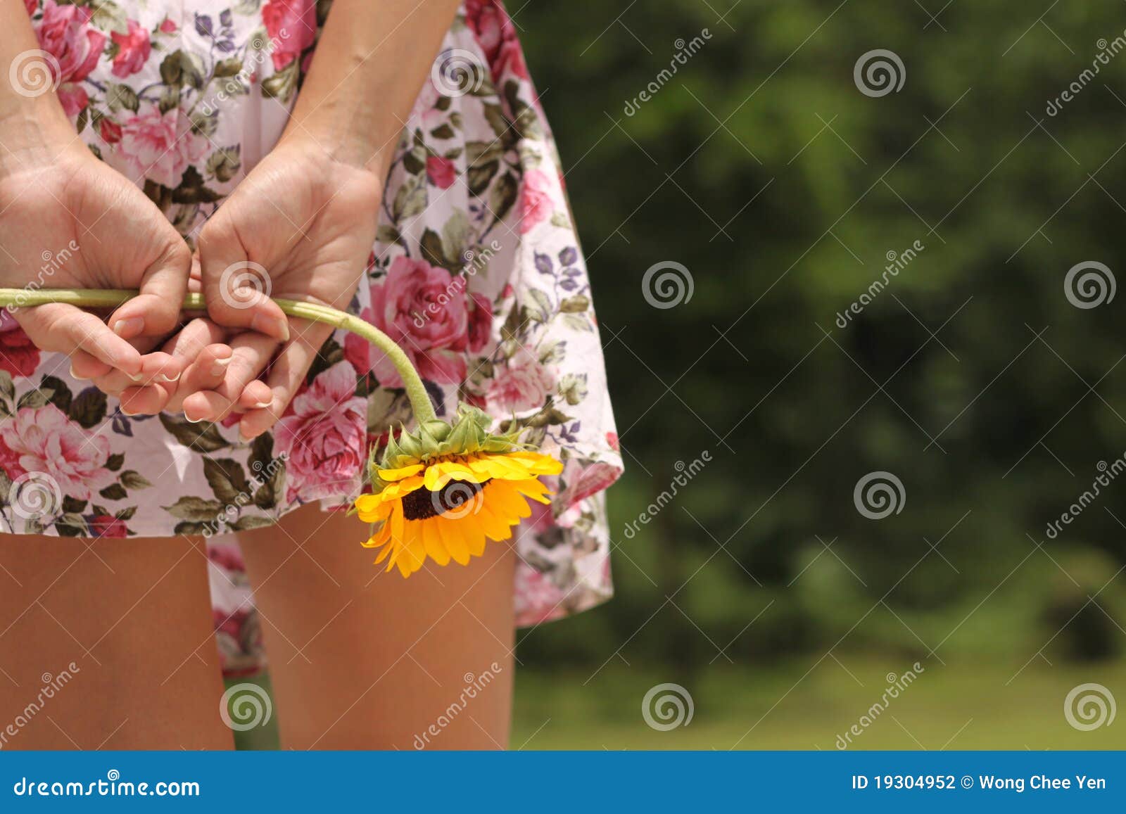 Flower Held Behind Lady Back Stock Photo - Image of chinese, anonymous ...