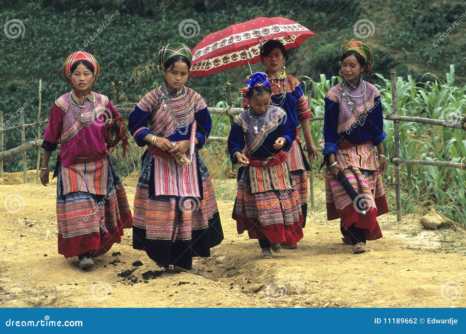 Flower Hmong Girls 1 editorial photography. Image of girls - 11189662