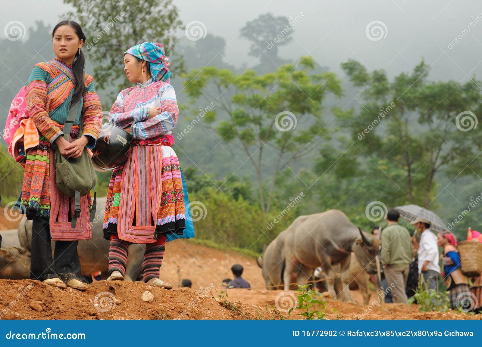 Flower Hmong Women editorial photography. Image of indigenous - 16772902