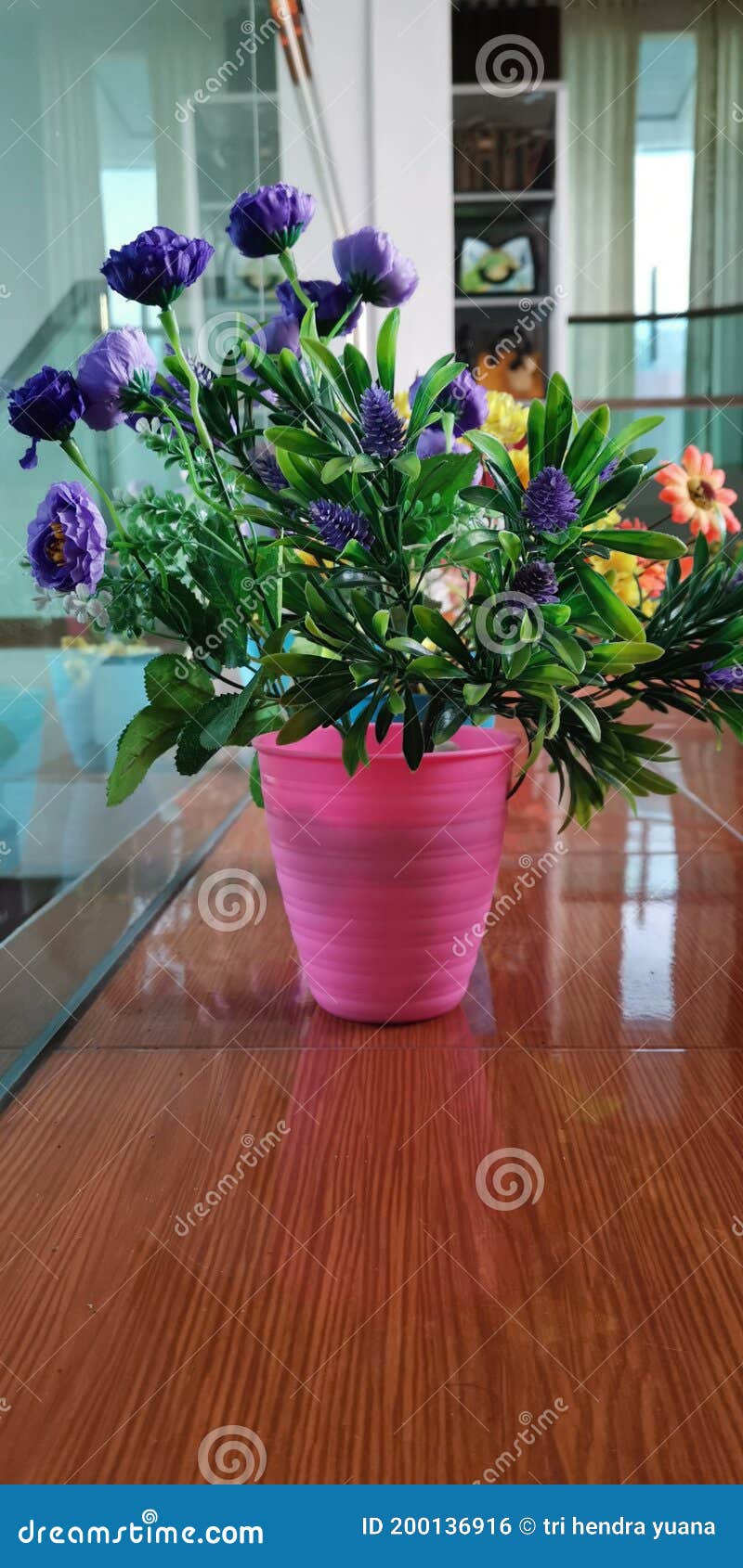 Flower at home stock photo. Image of purple, pink, green - 200136916