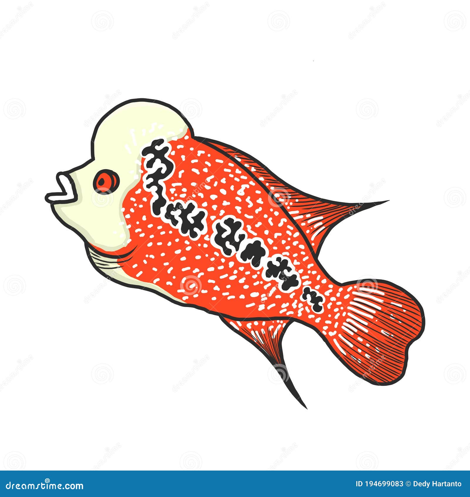 Cartoon Flowerhorn Fish On White Background | CartoonDealer.com #233289851