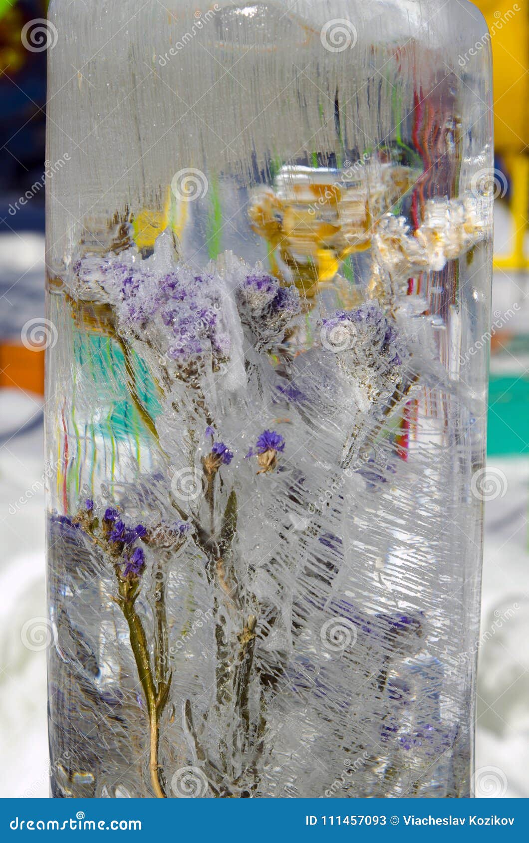 The flower in ice stock image. Image of nature, looking - 111457093
