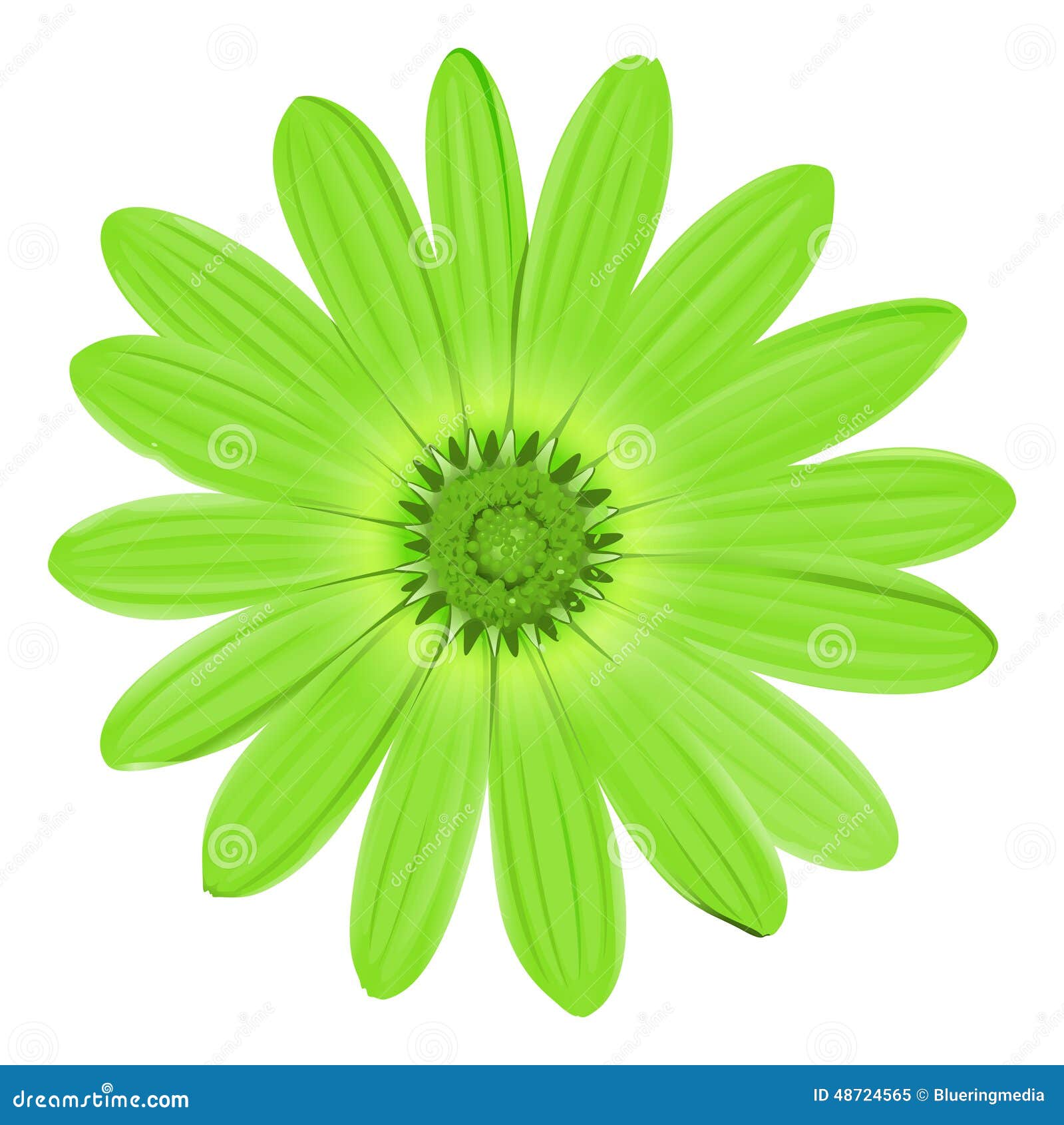 Flower stock vector. Illustration of single, spring, drawing - 48724565
