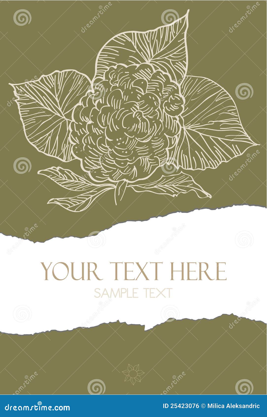 Flower Illustration on Torn Paper Stock Vector - Illustration of ...