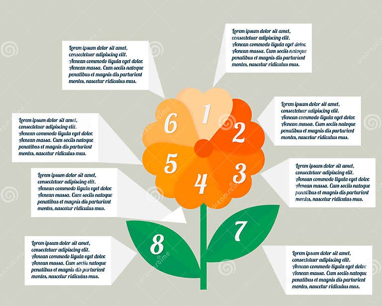 Flower infographics stock vector. Illustration of choice - 46953527