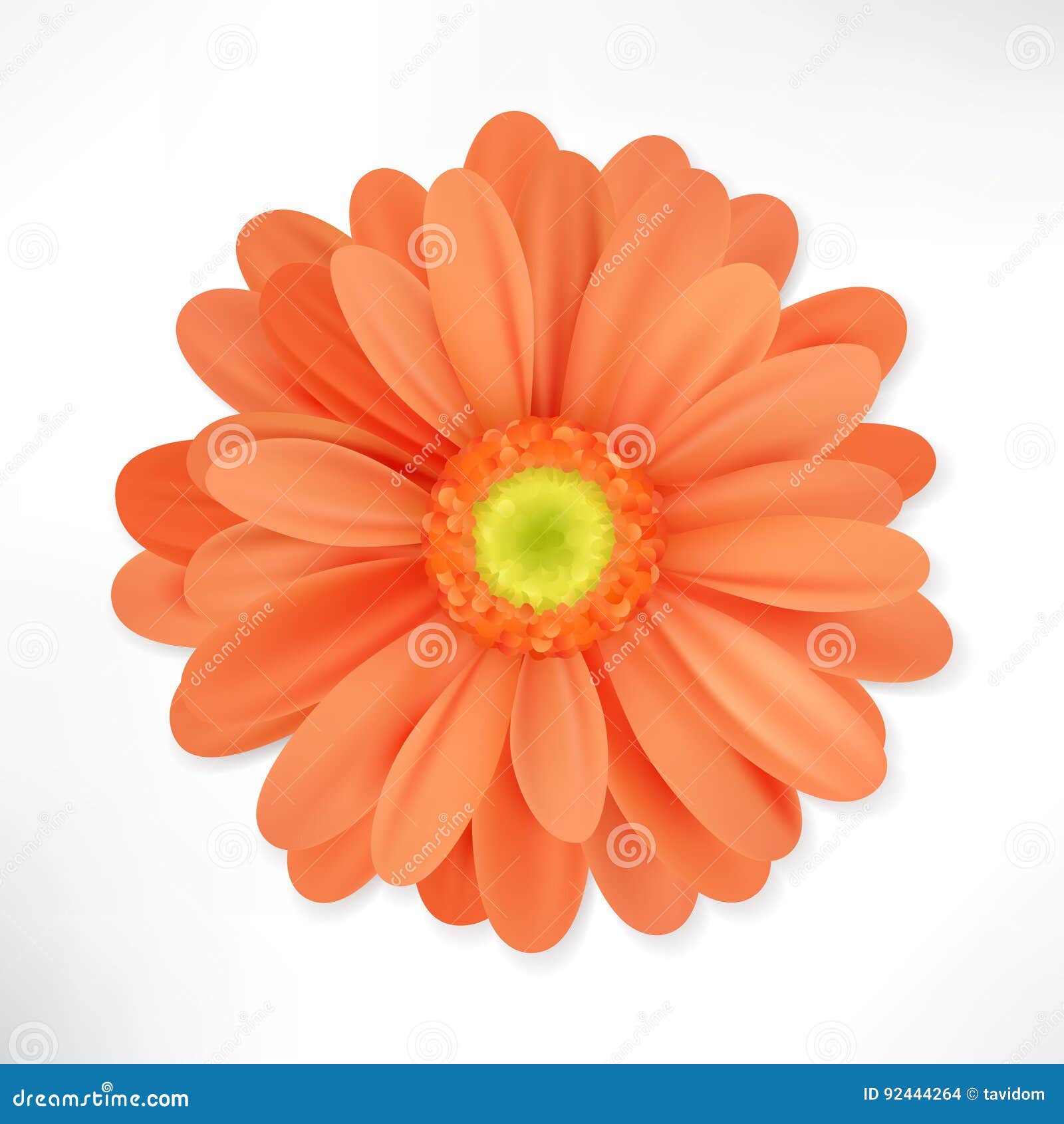 Flower Isolated on White Background. Realistic Vector Image. Stock ...