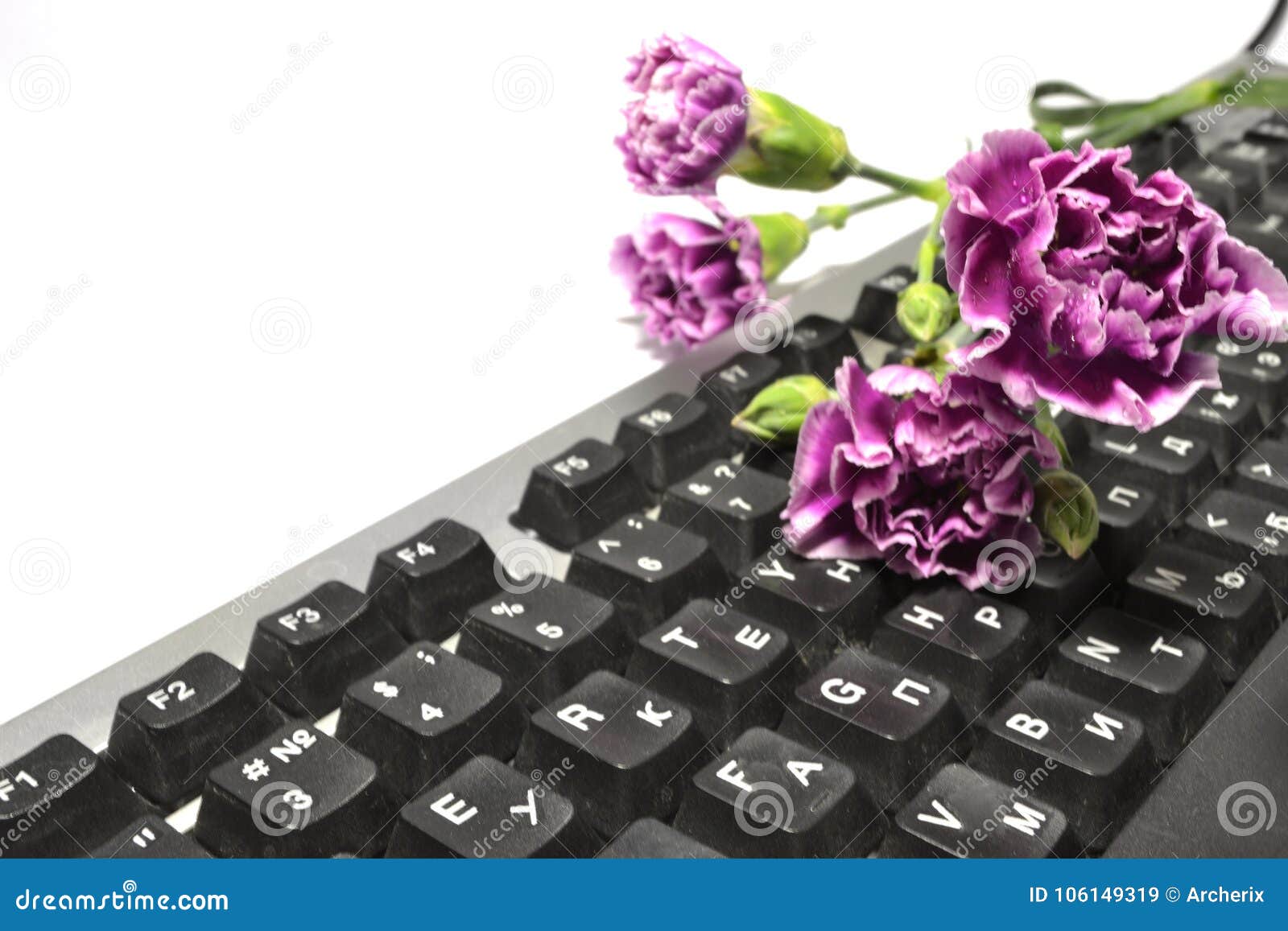 Flower on the keyboard stock image. Image of love, enter - 106149319