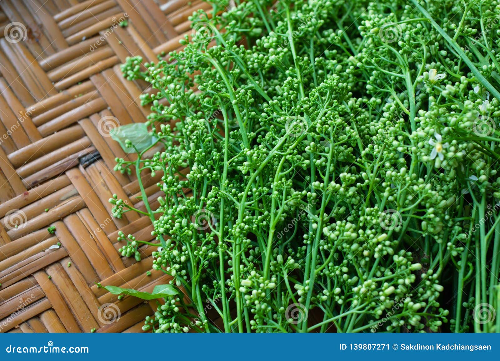 Leaf of neem plant stock image. Image of herbs, bitter - 139807271