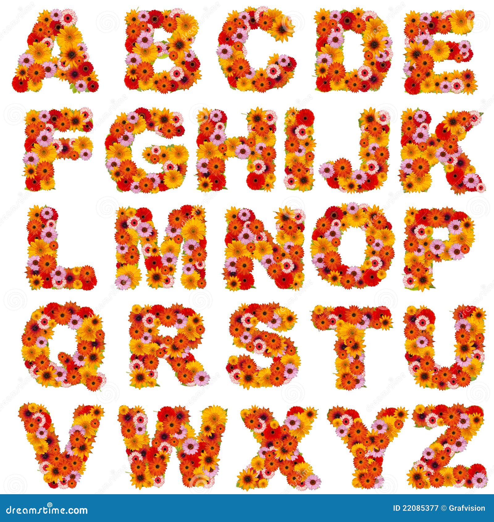 Flower Letter Royalty Free Stock Photography - Image: 22085377