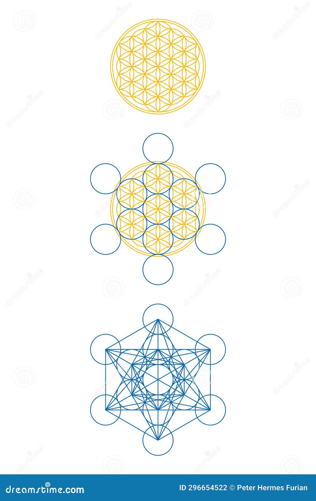 Life In The Cube Vector Illustration | CartoonDealer.com #30239166