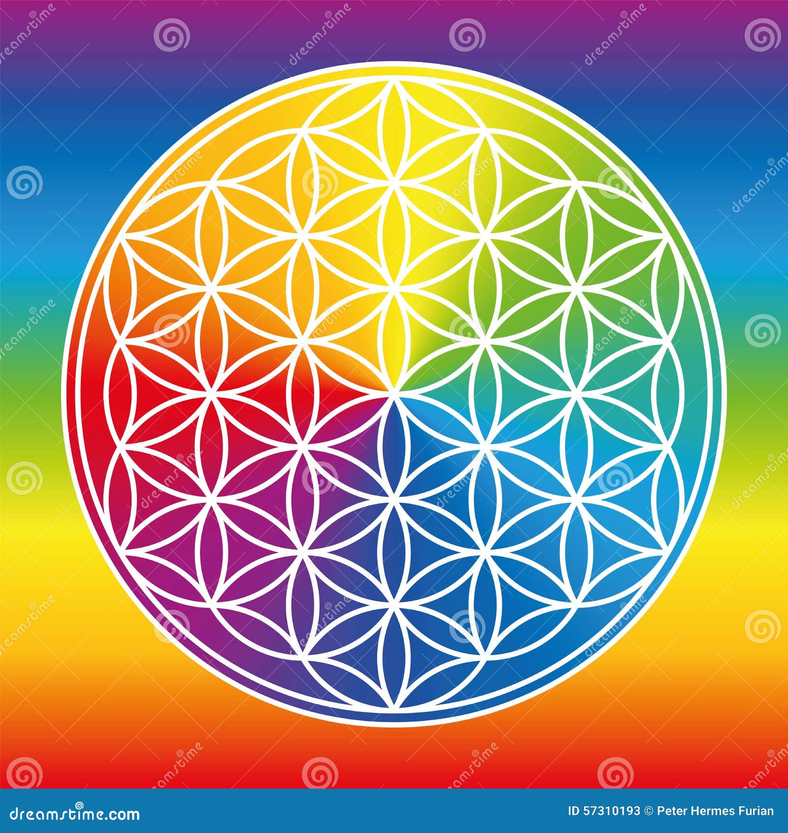 Flower of Life Rainbow Gradient Color Wheel Stock Vector - Illustration ...